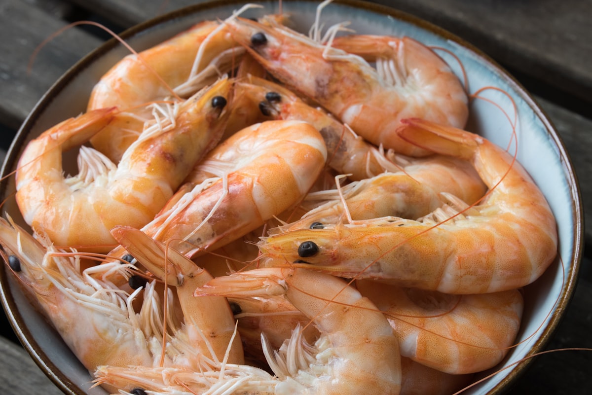 Best Seafood Restaurants in Kuwait 2025: Fresh Fish & Coa... | Best of ...